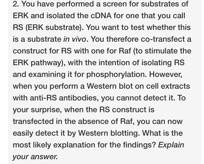 Solved 2. You have performed a screen for substrates of ERK | Chegg.com