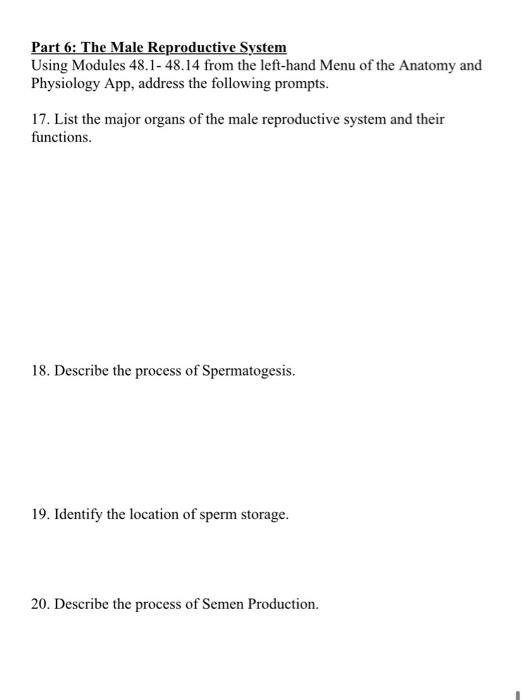 Solved Part 6: The Male Reproductive System Using Modules | Chegg.com