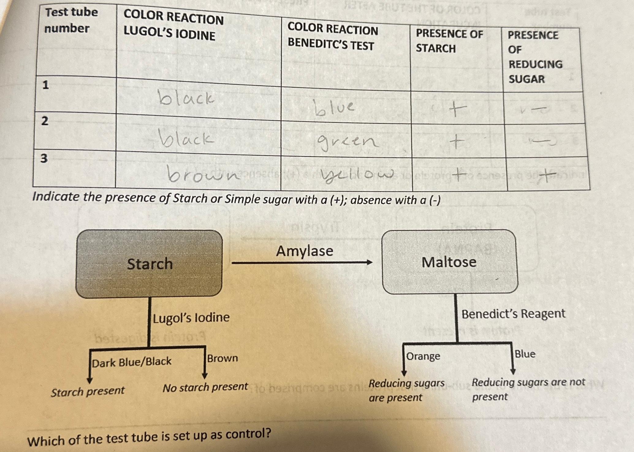 Solved \table[[\table[[Test tube],[number]],\table[[COLOR | Chegg.com