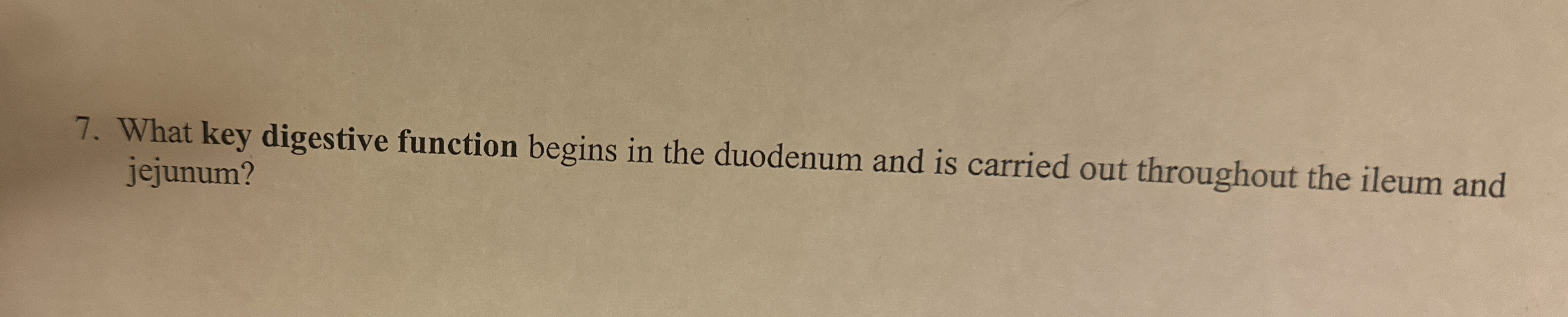 Solved What key digestive function begins in the duodenum | Chegg.com