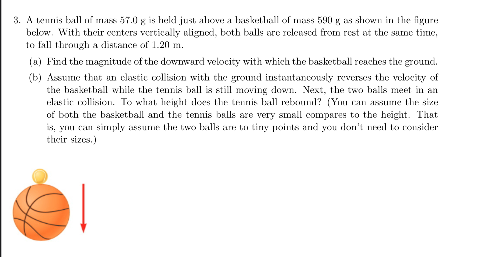 Solved A tennis ball of mass 57.0 ﻿g is held just above a | Chegg.com