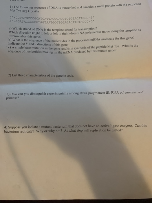 Solved following sequence of DNA is transcribed and encodes | Chegg.com