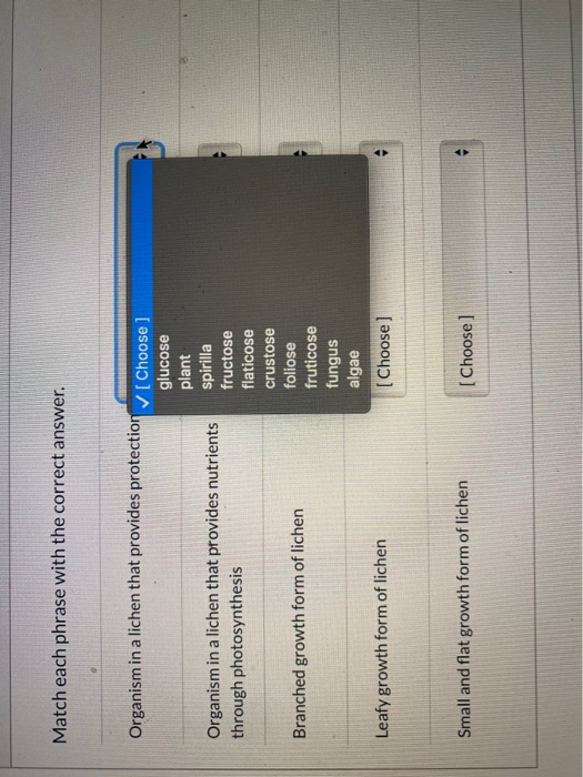 Solved Match each phrase with the correct answer. Organism | Chegg.com