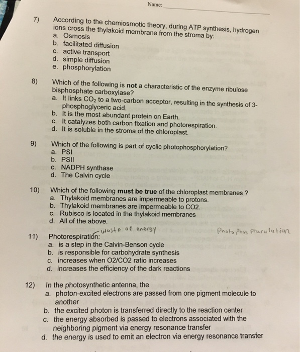 Solved Name: According to the chemiosmotic theory, during | Chegg.com