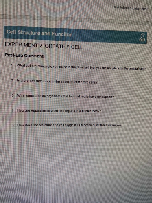 Solved Normal * * * A -A Párrafo Fuente Cell Structure and | Chegg.com