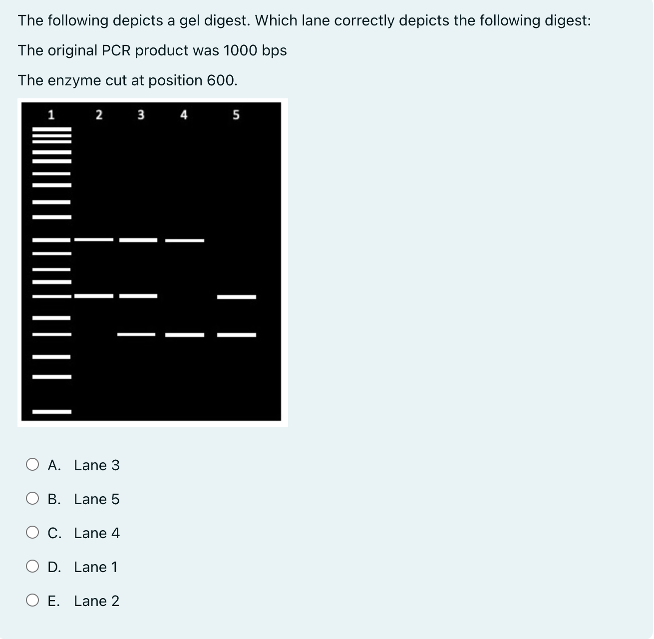 Solved The following depicts a gel digest. Which lane | Chegg.com