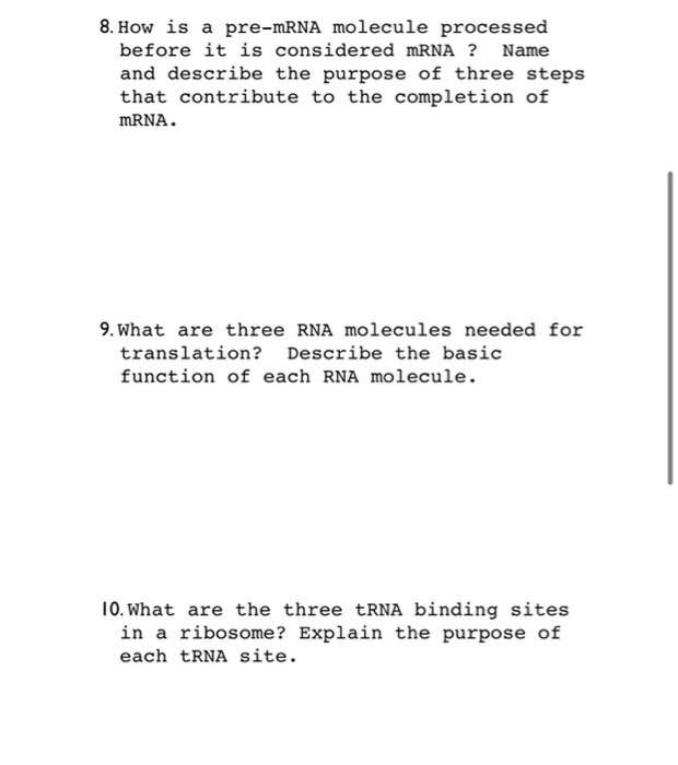 Solved 8. How is a pre-mRNA molecule processed before it is | Chegg.com