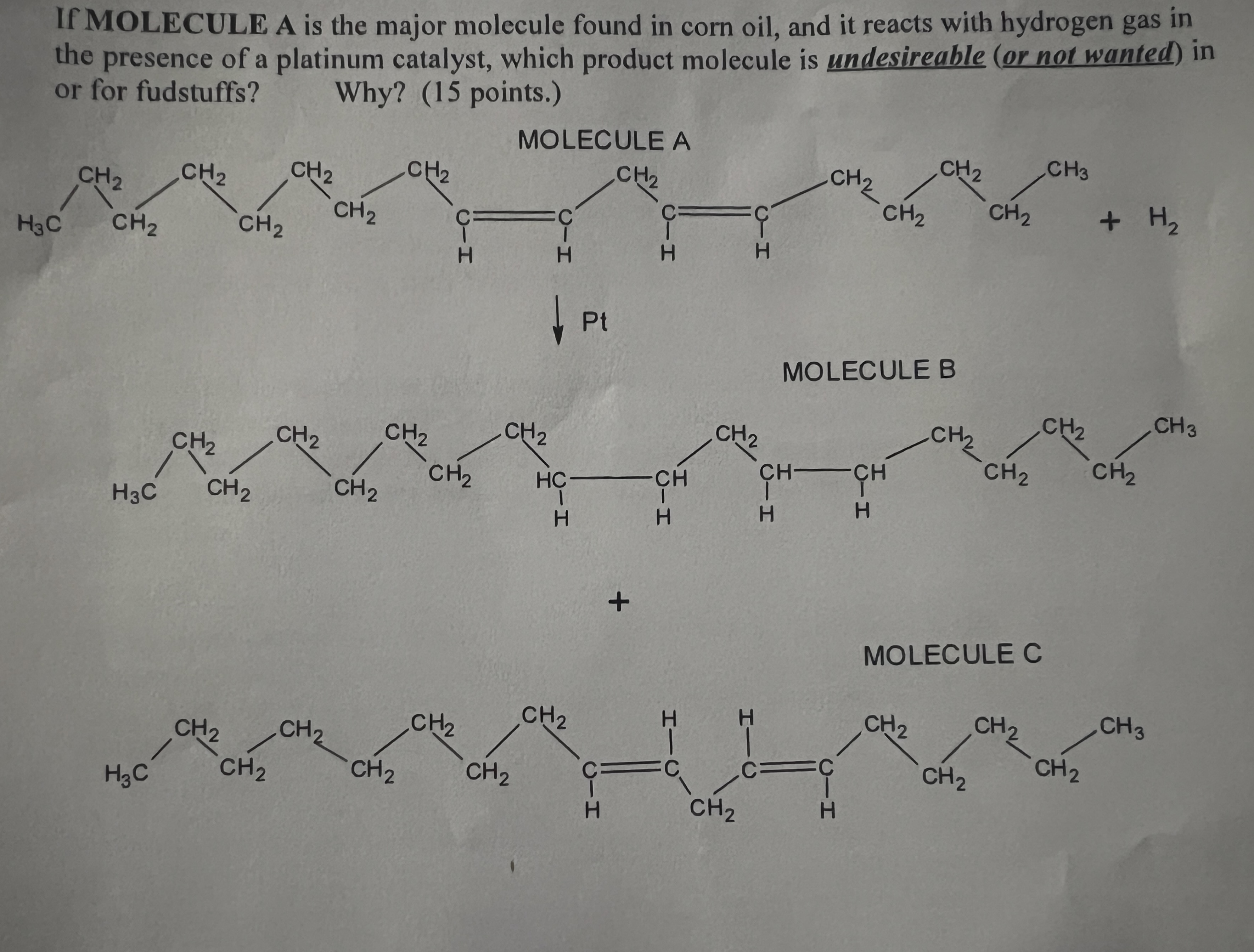 Solved If MOLECULE A is the major molecule found in corn | Chegg.com
