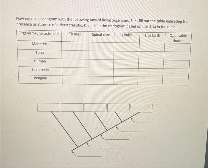 Solved Activity 2: Construct a Cladogram In this activity, | Chegg.com