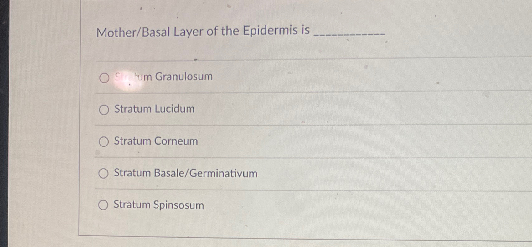 Solved Mother/Basal Layer of the Epidermis is S 'ym | Chegg.com