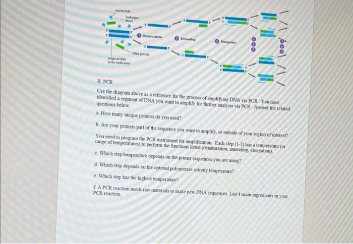 Solved R Replication enzymes Give a brief description of | Chegg.com