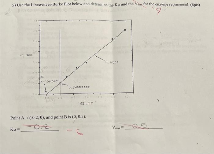 Solved biochemistry Use the Lineweaver-Burke plot below and | Chegg.com