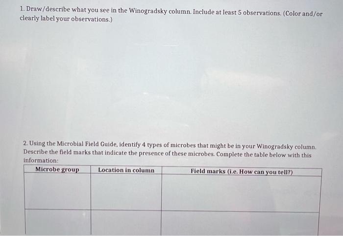 Solved 1. Draw/describe what you see in the Winogradsky | Chegg.com