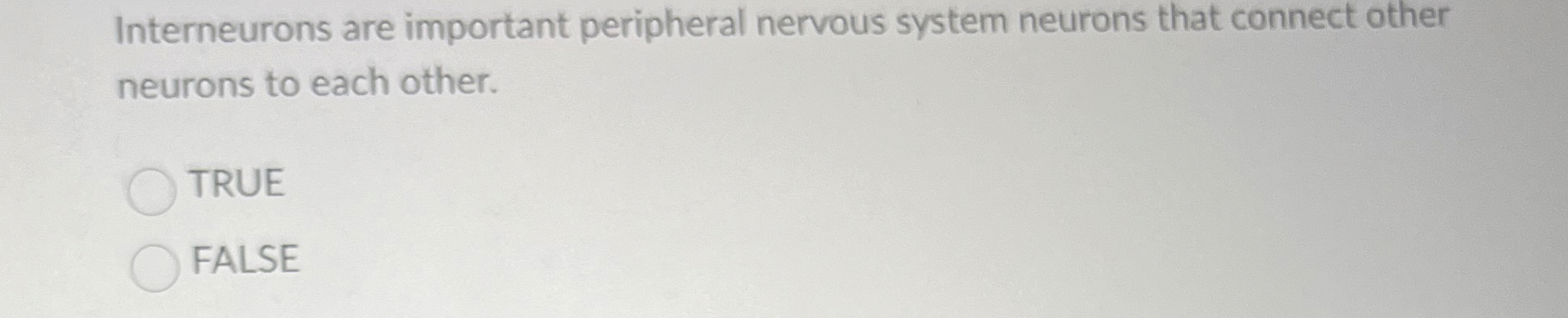 Solved Interneurons are important peripheral nervous system | Chegg.com