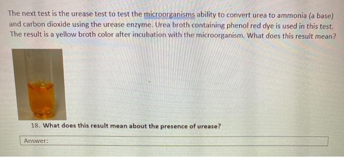 Solved The next test is the urease test to test the | Chegg.com