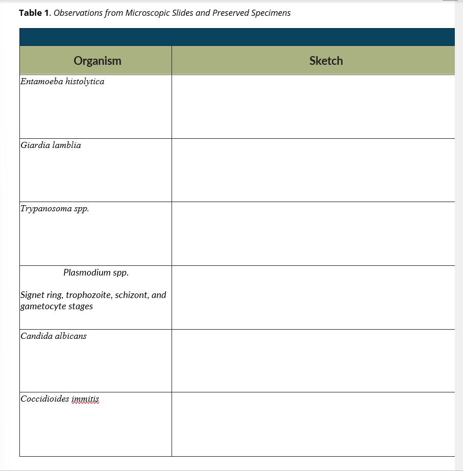 Table 1. ﻿Observations from Microscopic Slides and | Chegg.com