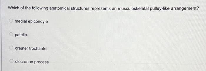 Solved Which of the following anatomical structures | Chegg.com