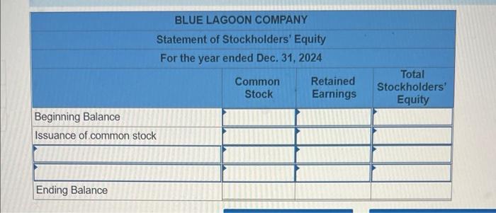 Solved Blue Lagoon Company provides the following | Chegg.com