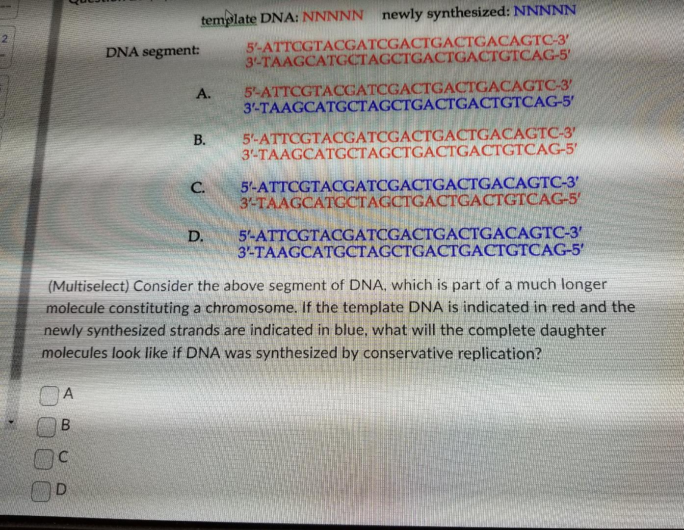 Solved Question 28 (3 points) Recalling that DNA synthesis | Chegg.com