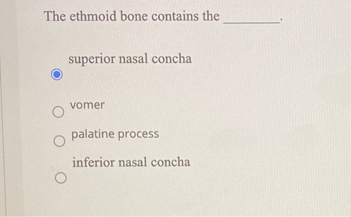 Solved The ethmoid bone contains the superior nasal concha | Chegg.com