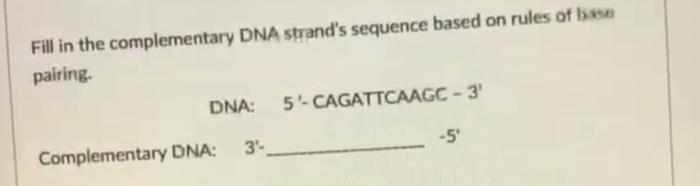 Solved Fill in the complementary DNA strand's sequence based | Chegg.com