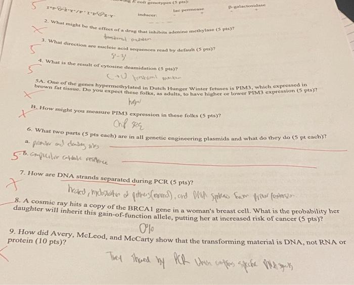 Solved Lab Session (circte): Fisher Pt haw a stero-loop | Chegg.com