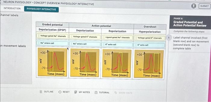 Solved NEURON PHYSIOLOGY CONCEPT OVERVIEW PHYSIOLOGY | Chegg.com