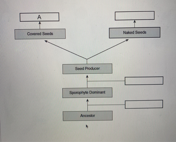Solved Γ Α Ι Covered Seeds Naked Seeds Seed Producer | Chegg.com