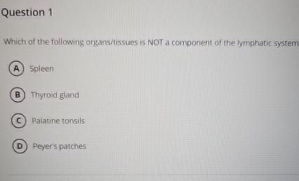 Solved Question 1Which of the following organsitissues is | Chegg.com