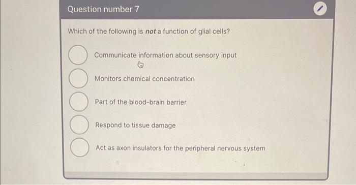 Solved Which of the following is not a function of glial | Chegg.com