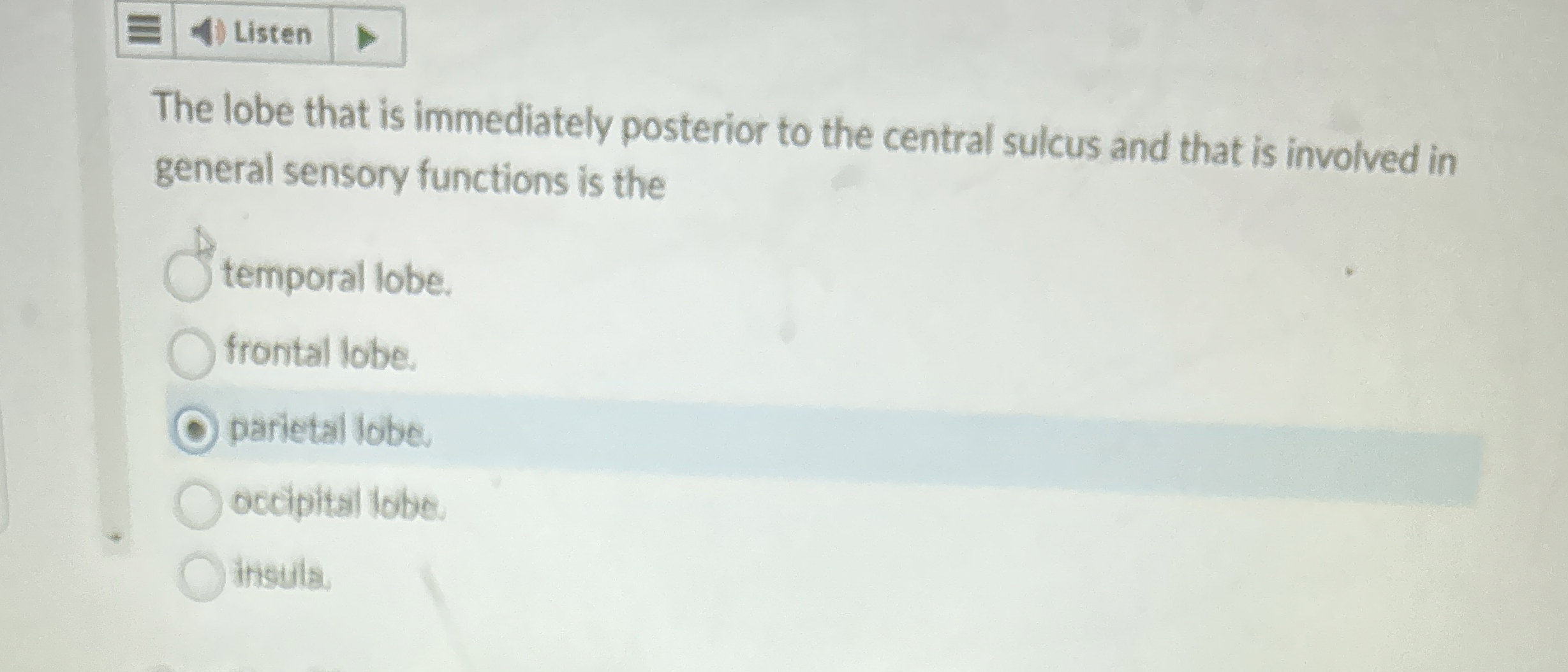 Solved ListenThe lobe that is immediately posterior to the | Chegg.com