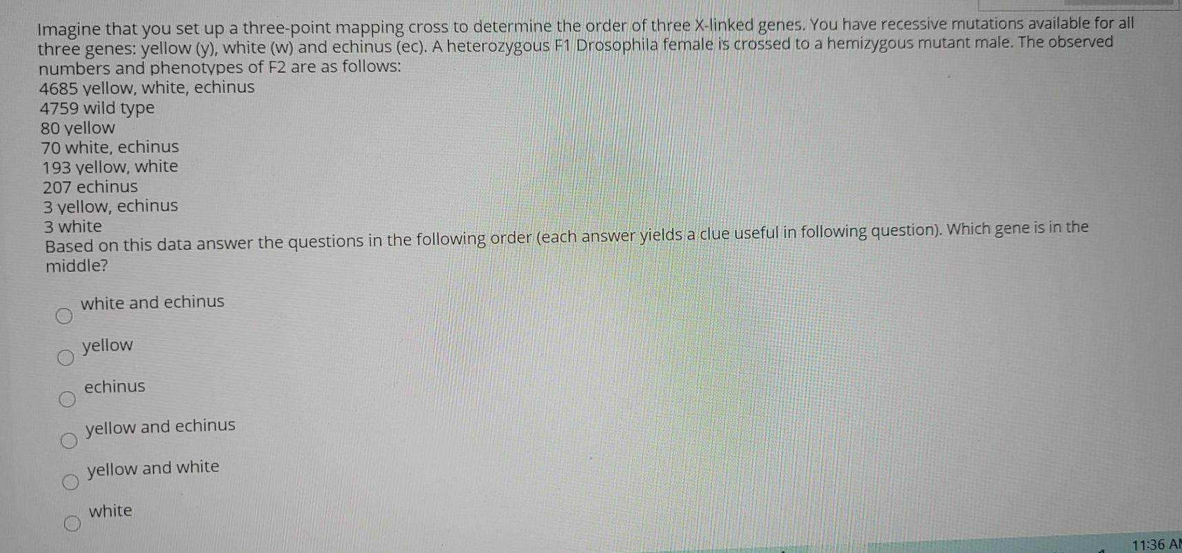 Solved Imagine that you set up a three-point mapping cross | Chegg.com