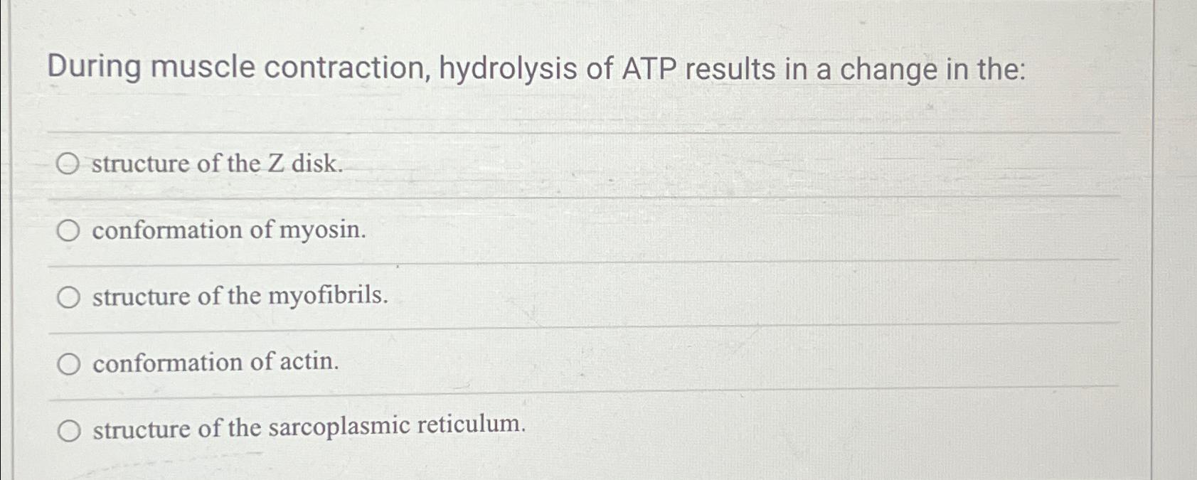 Solved During muscle contraction, hydrolysis of ATP results | Chegg.com
