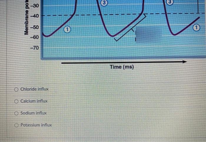 Solved In the graph of pacemaker cell action potential | Chegg.com