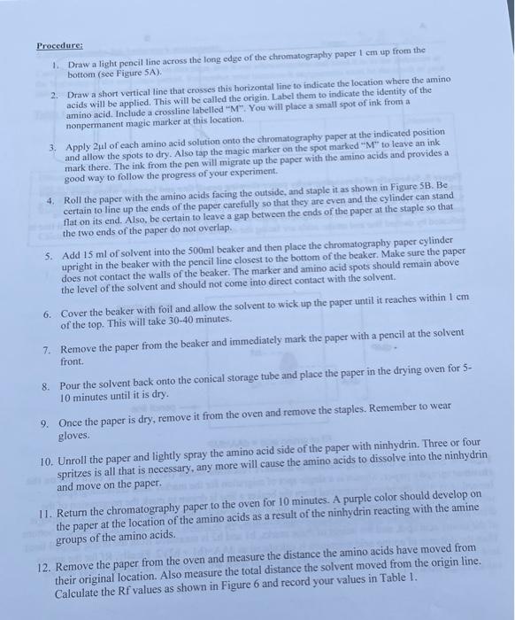 Solved Procedure: 1. Draw a light pencil line across the | Chegg.com