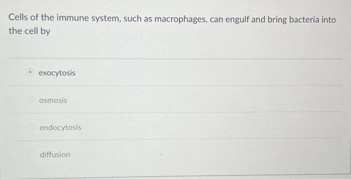 Solved Cells of the immune system, such as macrophages, can | Chegg.com