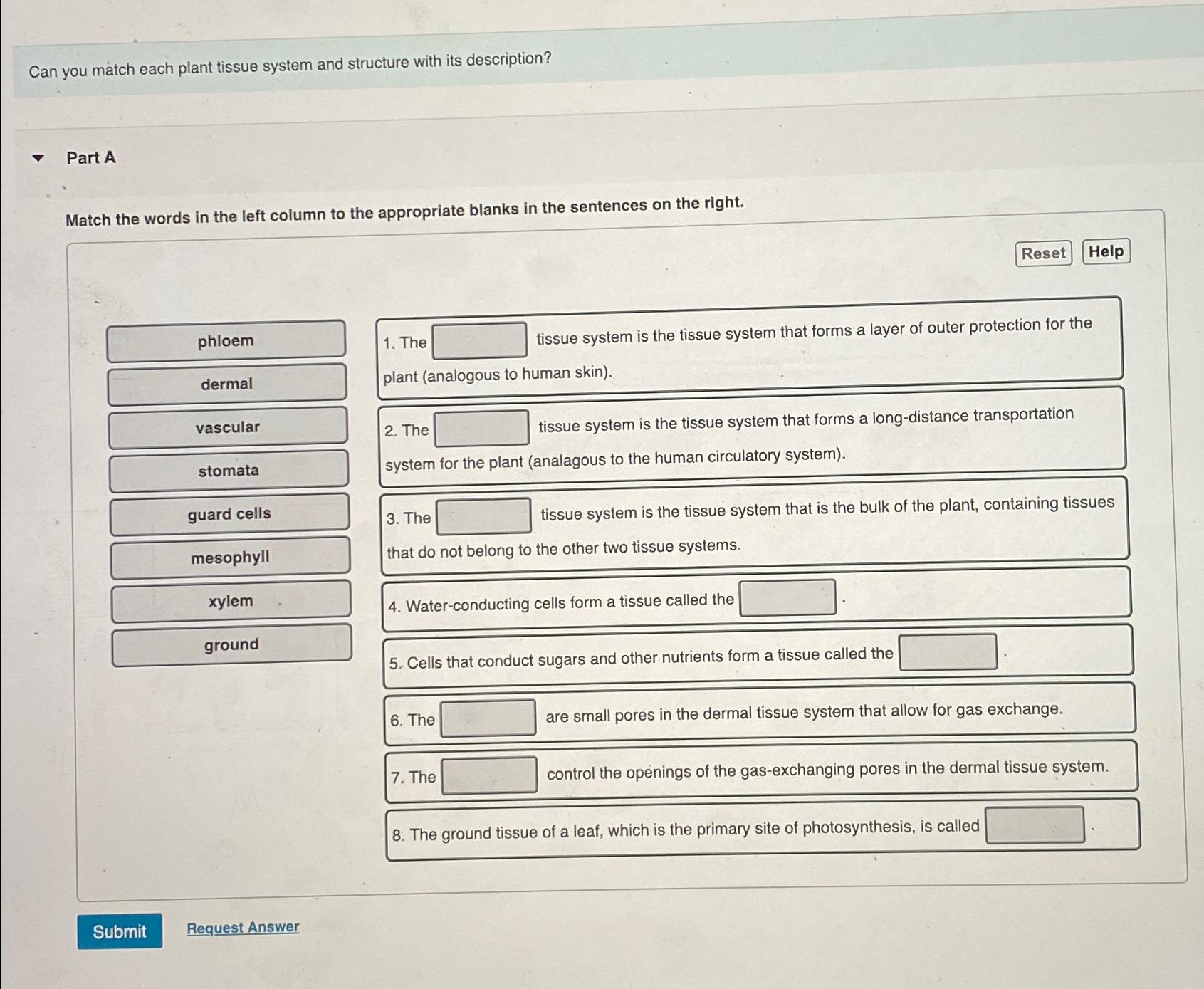 Solved Can you match each plant tissue system and structure | Chegg.com