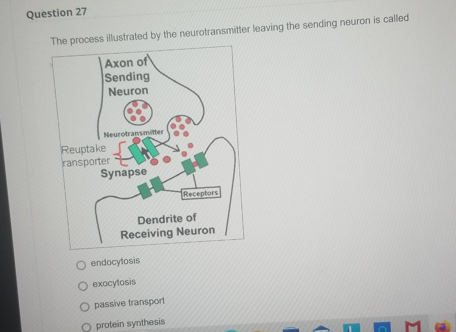 Solved Question 27 The process illustrated by the | Chegg.com
