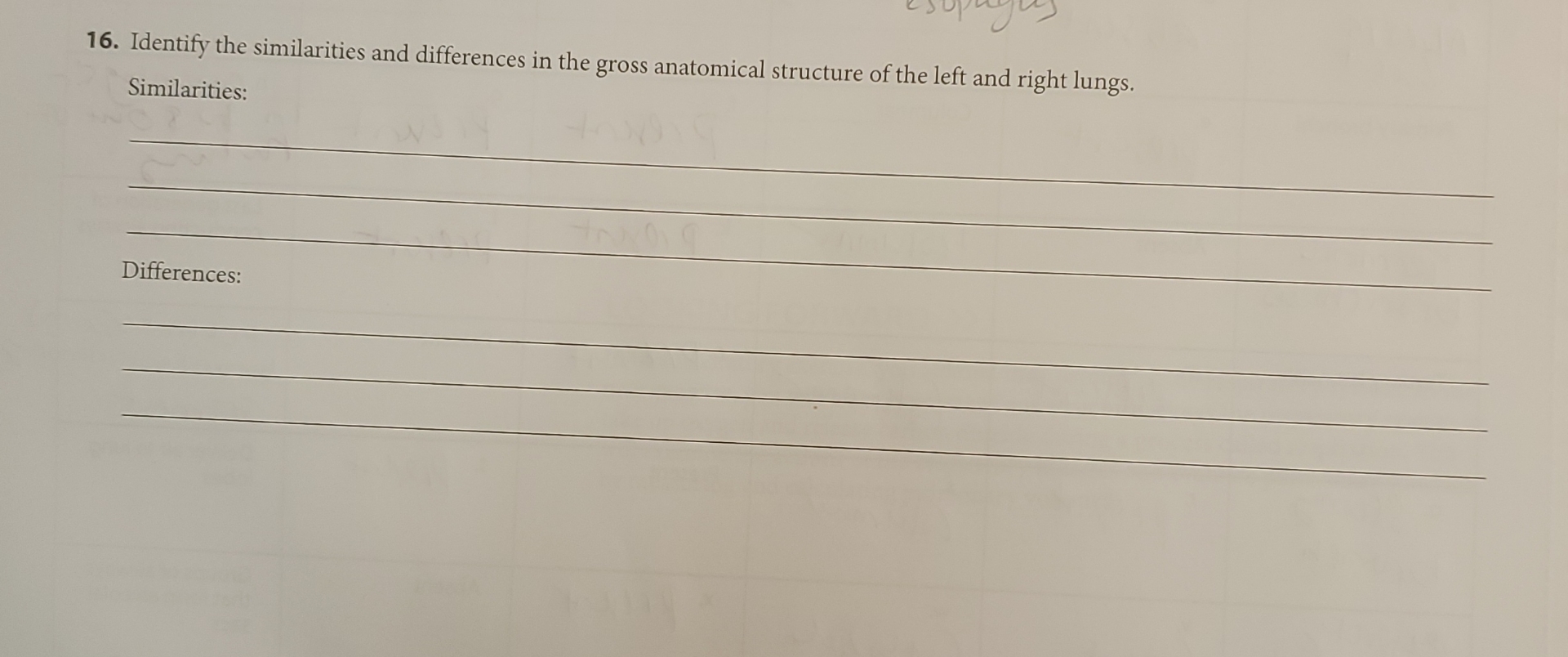 Solved Identify the similarities and differences in the | Chegg.com