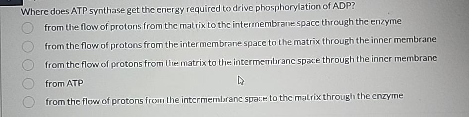 Solved Where does ATP synthase get the energy required to | Chegg.com
