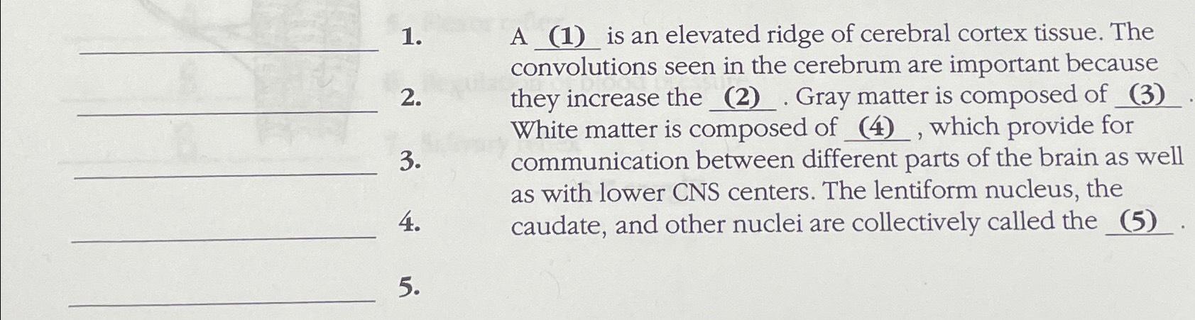 Solved A (1) ﻿is an elevated ridge of cerebral cortex | Chegg.com