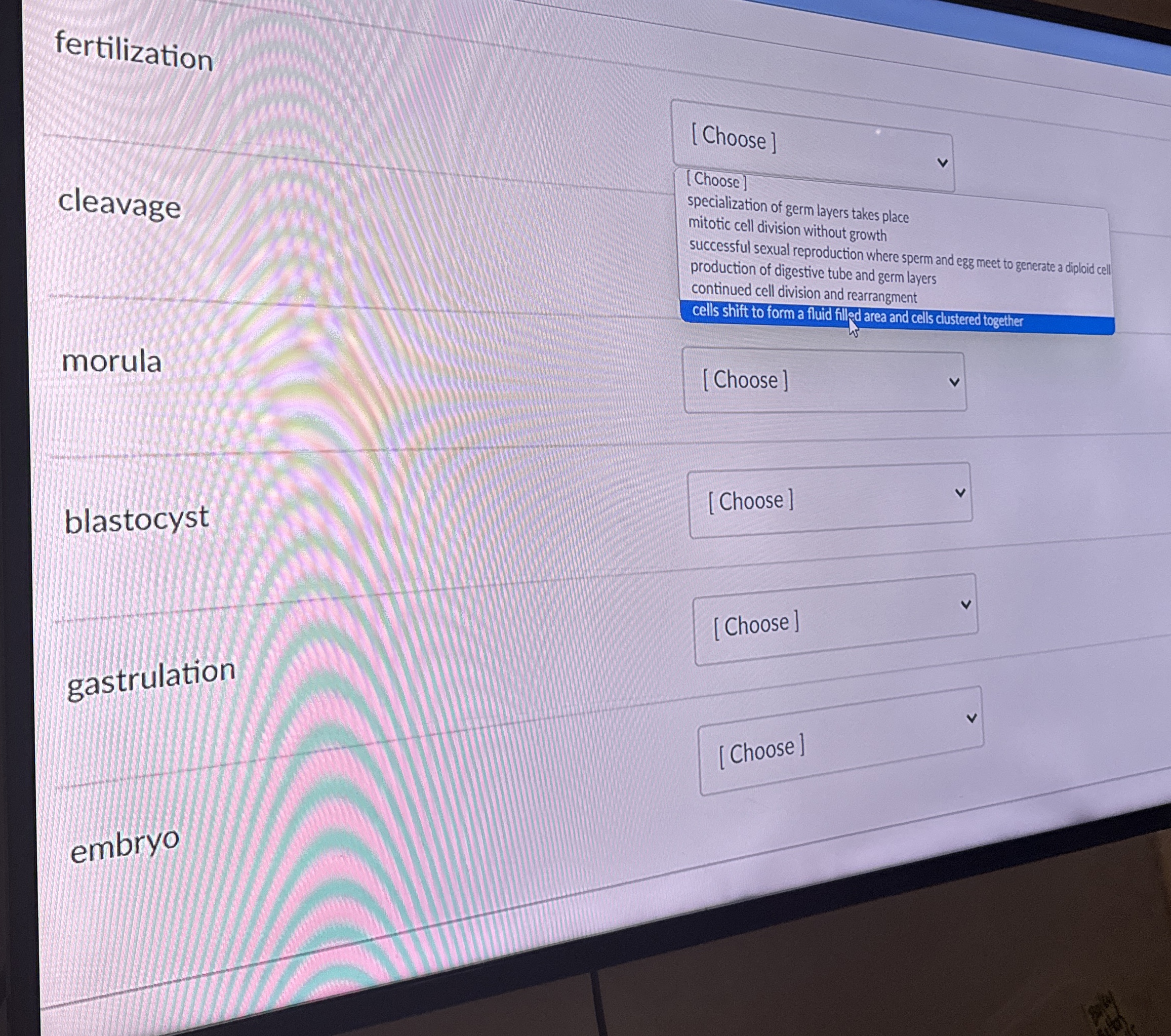 Solved fertilization[Choose]cleavage[Choose]specialization | Chegg.com
