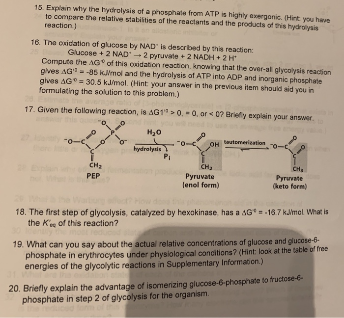 Solved 15. Explain why the hydrolysis of a phosphate from | Chegg.com