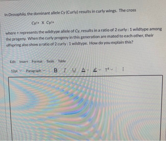 Solved In Drosophila, the dominant allele Cy (Curly) results | Chegg.com