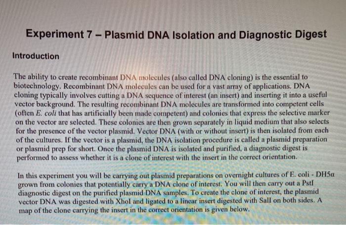 Solved Experiment 7 - Plasmid DNA Isolation and Diagnostic | Chegg.com