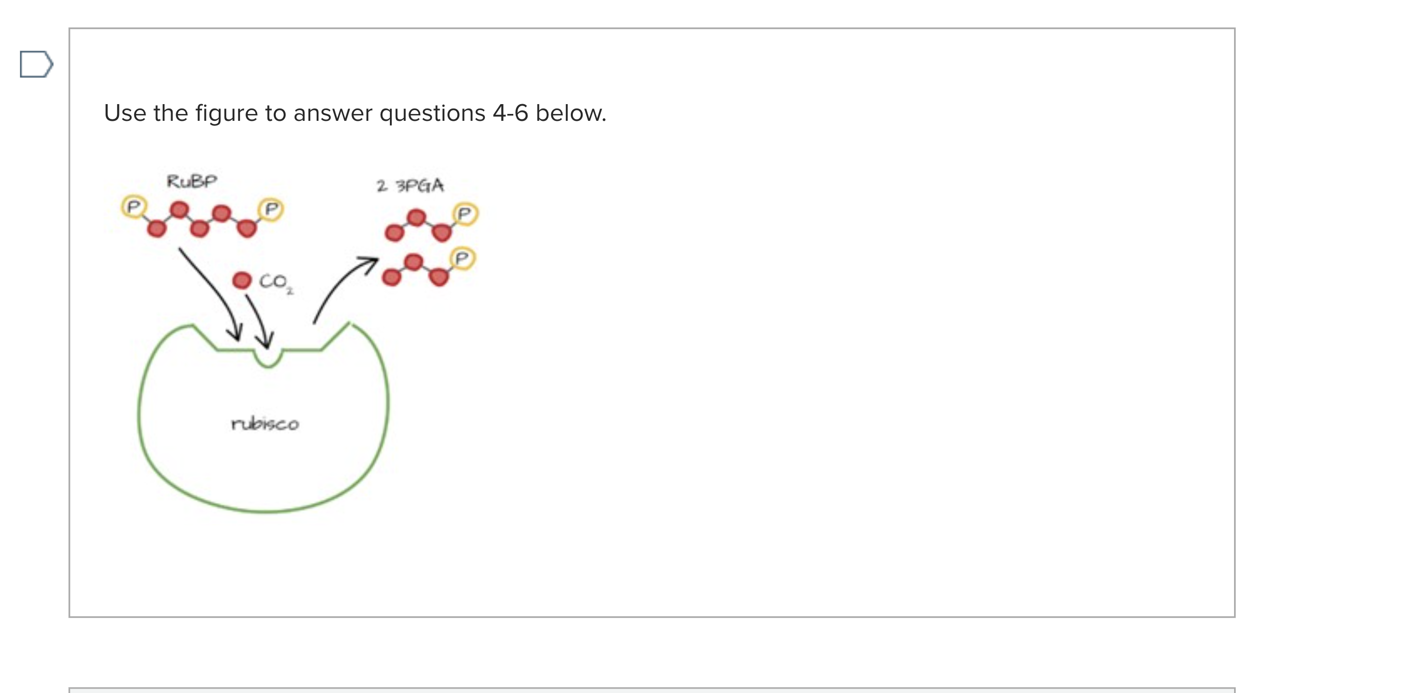 Solved Use the figure to answer questions 4-6 ﻿below. 4) | Chegg.com