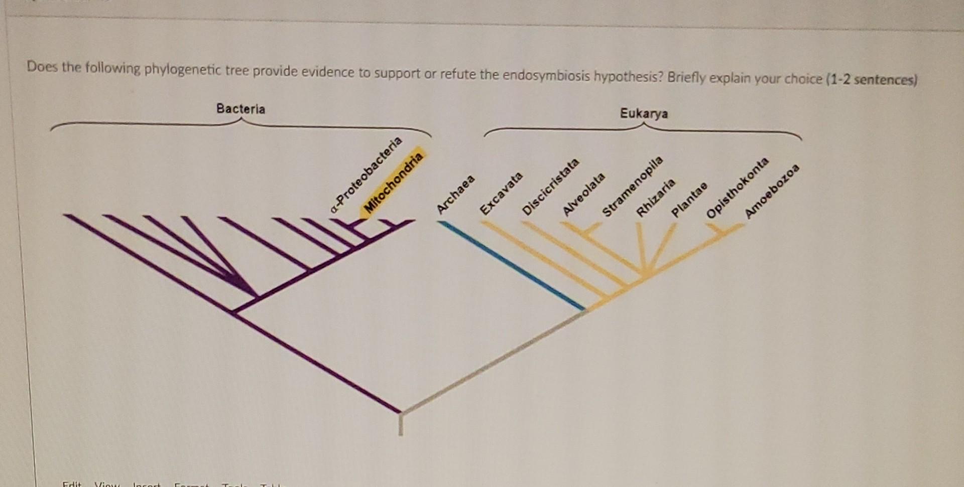 Solved Does the following phylogenetic tree provide evidence | Chegg.com
