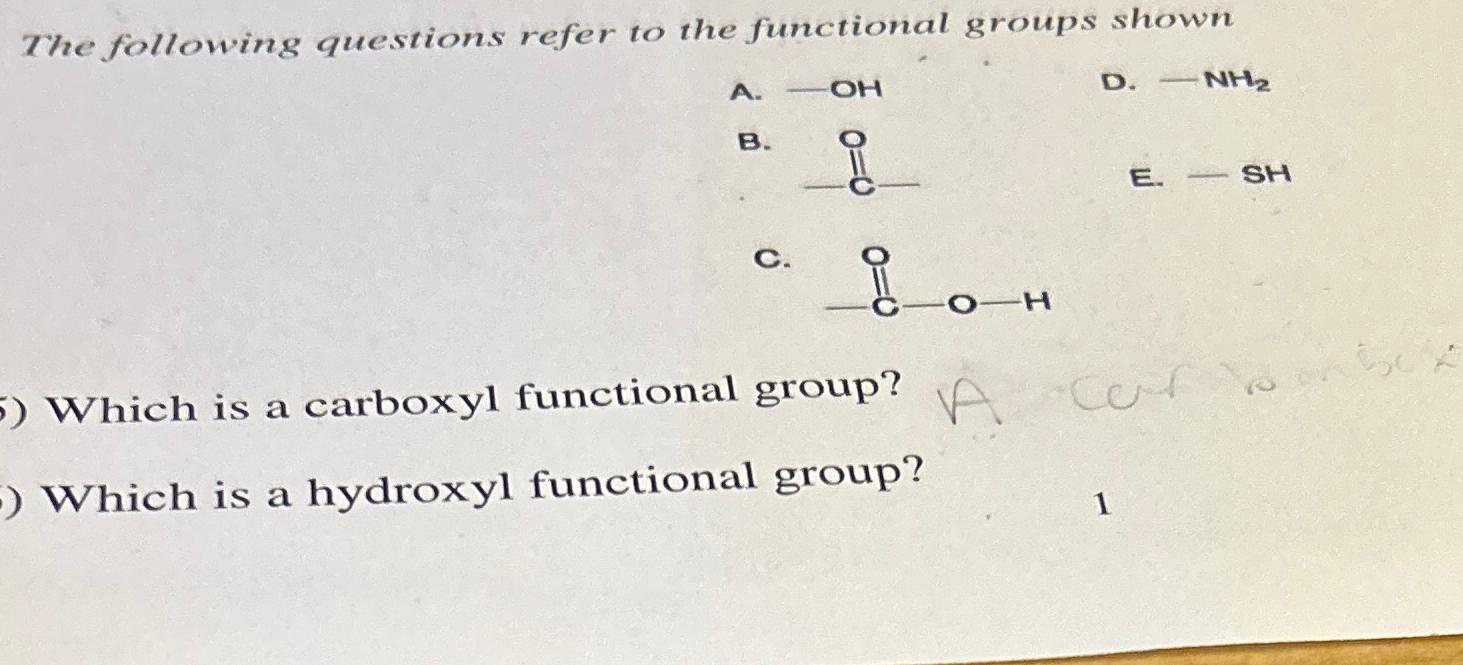 Solved The following questions refer to the functional | Chegg.com