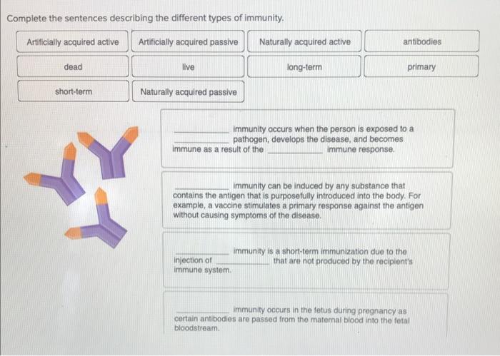 Solved Complete the sentences describing the different types | Chegg.com