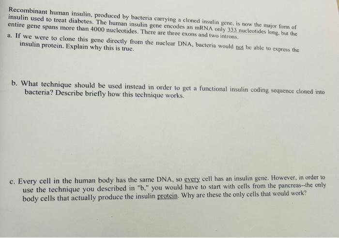 Solved Recombinant human insulin, produced by bacteria | Chegg.com
